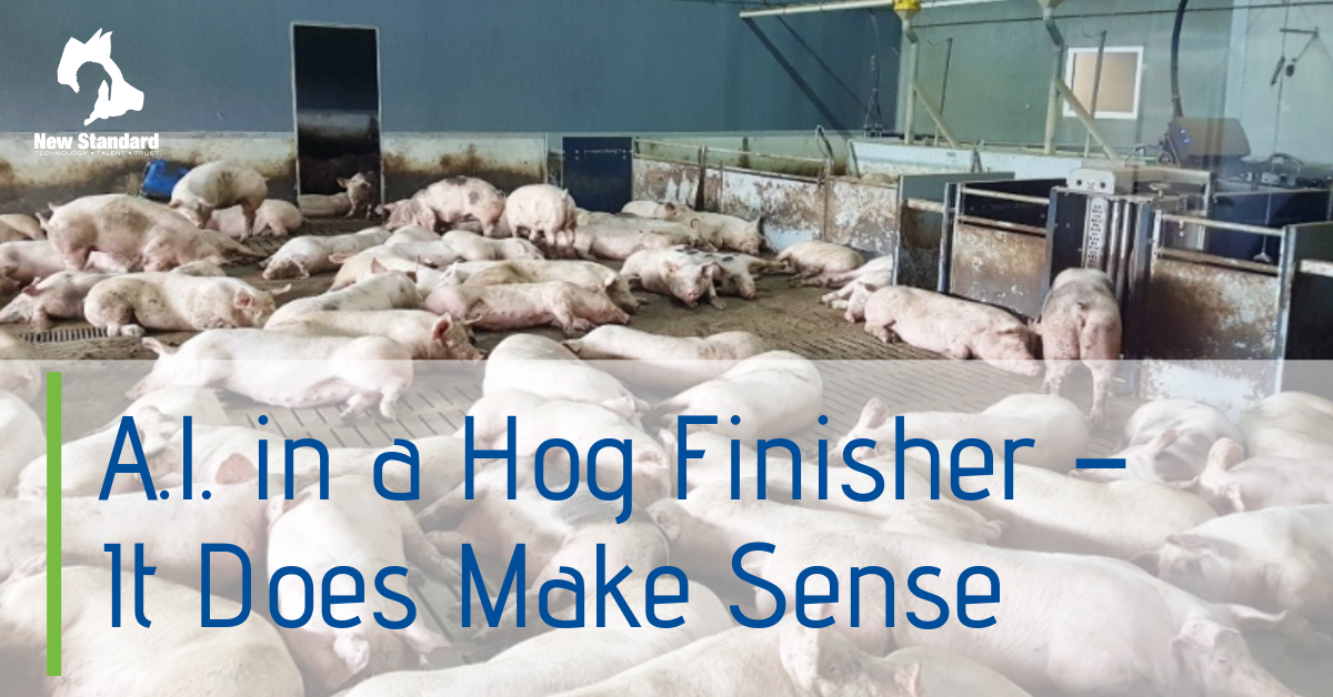 A.I. in a Hog Finisher – It Does Make Sense