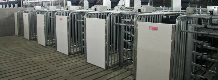 Electronic Sow Feeding in Group Housing