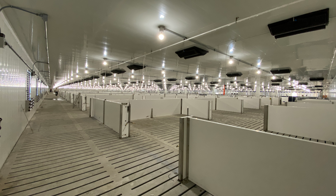 Modern Pig Barns, Thoughts from a Pork Consumer
