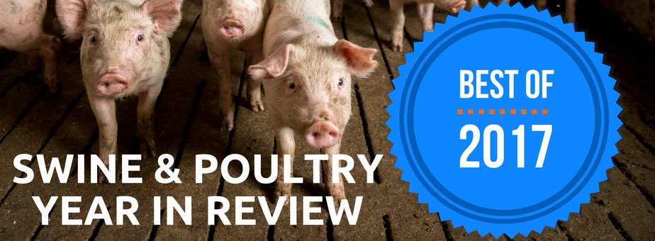 Swine & Poultry Year In Review: The Best of 2017