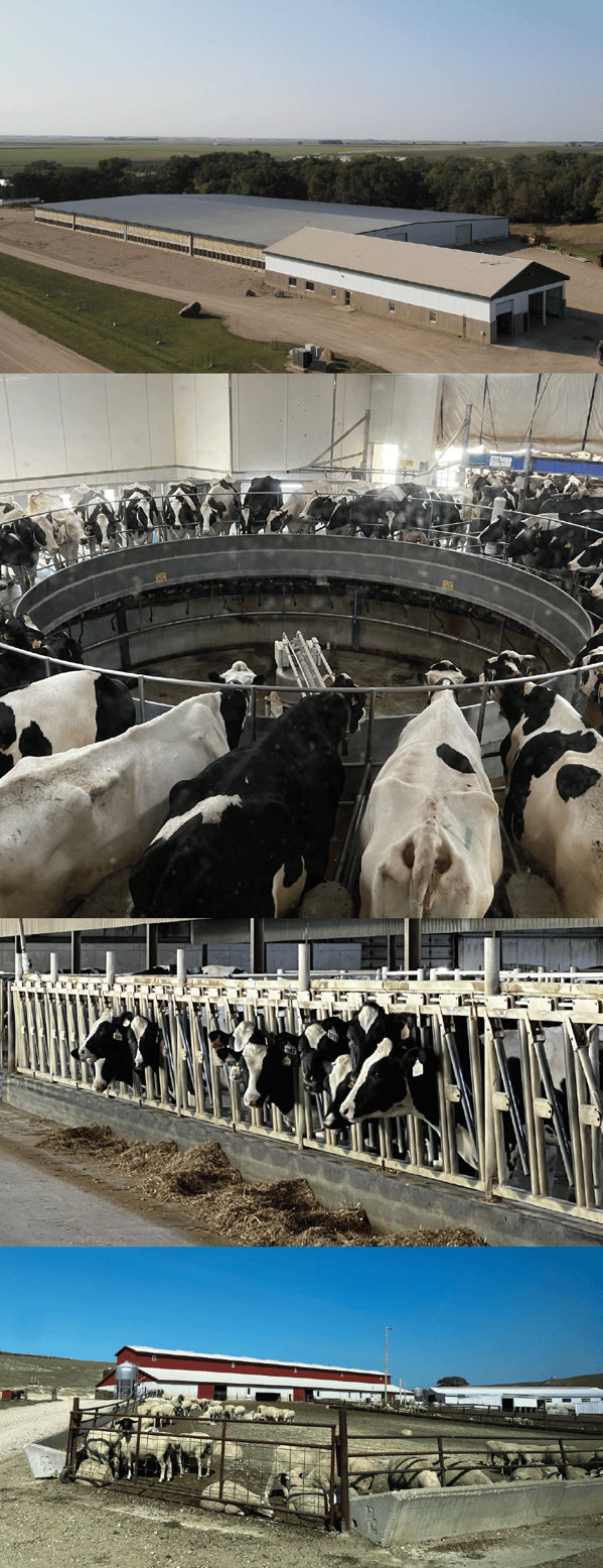 Bon Homme Colony - South Dakota