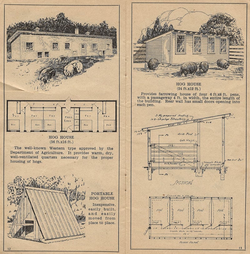 Interesting Hog Barn History