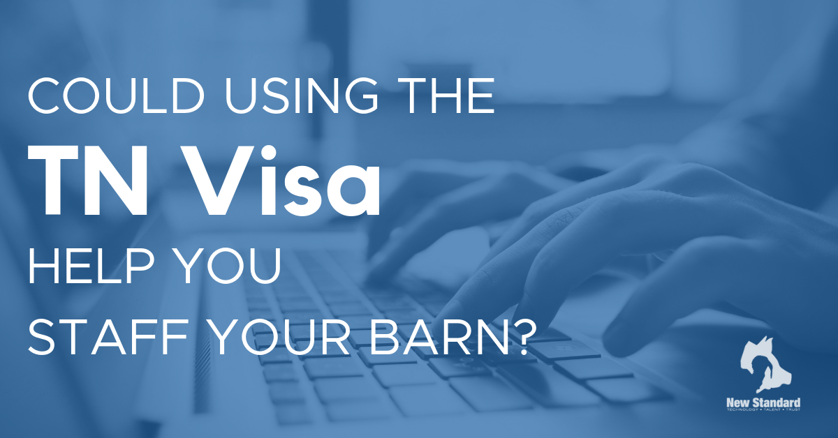 Group Sow and Poultry Housing News | New Standard Staff